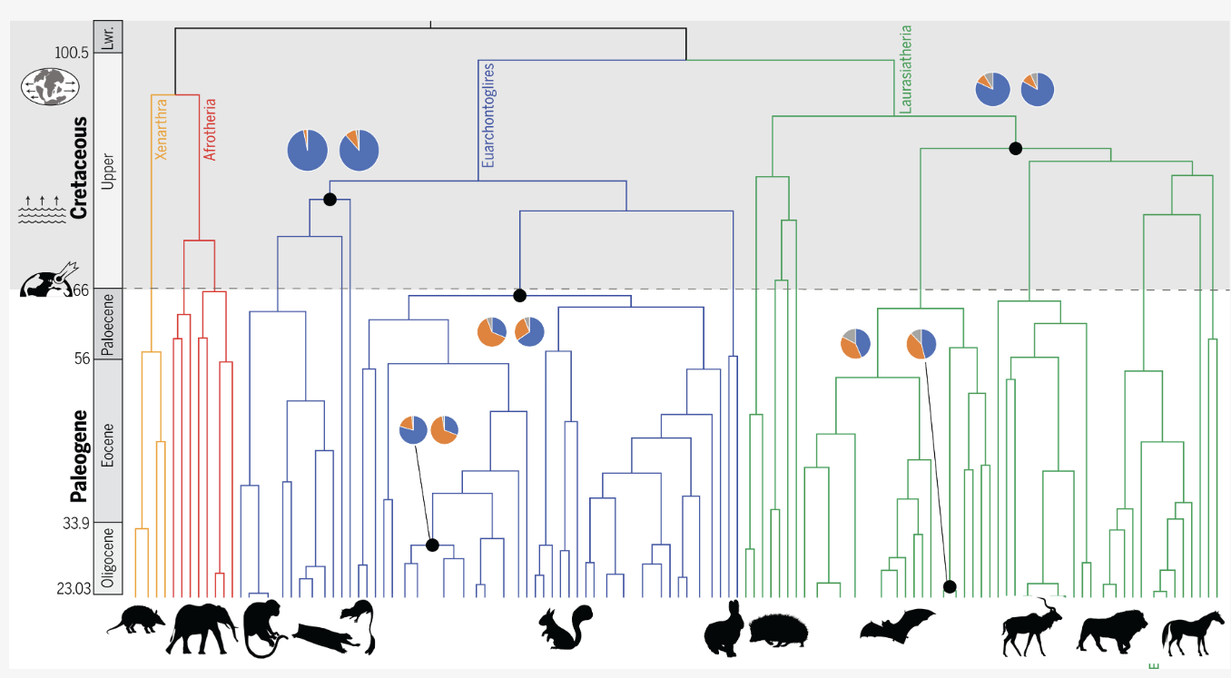 About Me - Glenn Hickey